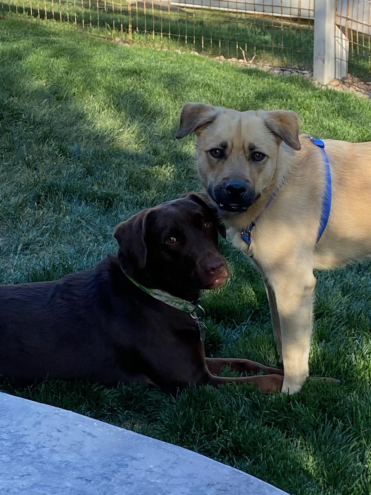 Our Team – Blue Sky Insurance Consultants