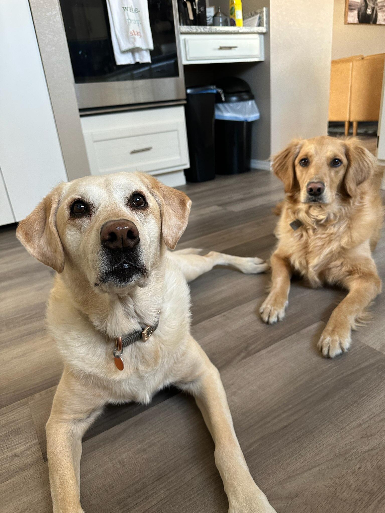 Our Team – Blue Sky Insurance Consultants